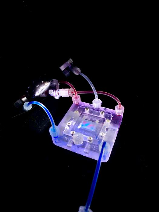 Noctrix Advances Device for Treating Restless Leg Syndrome | Medical ...