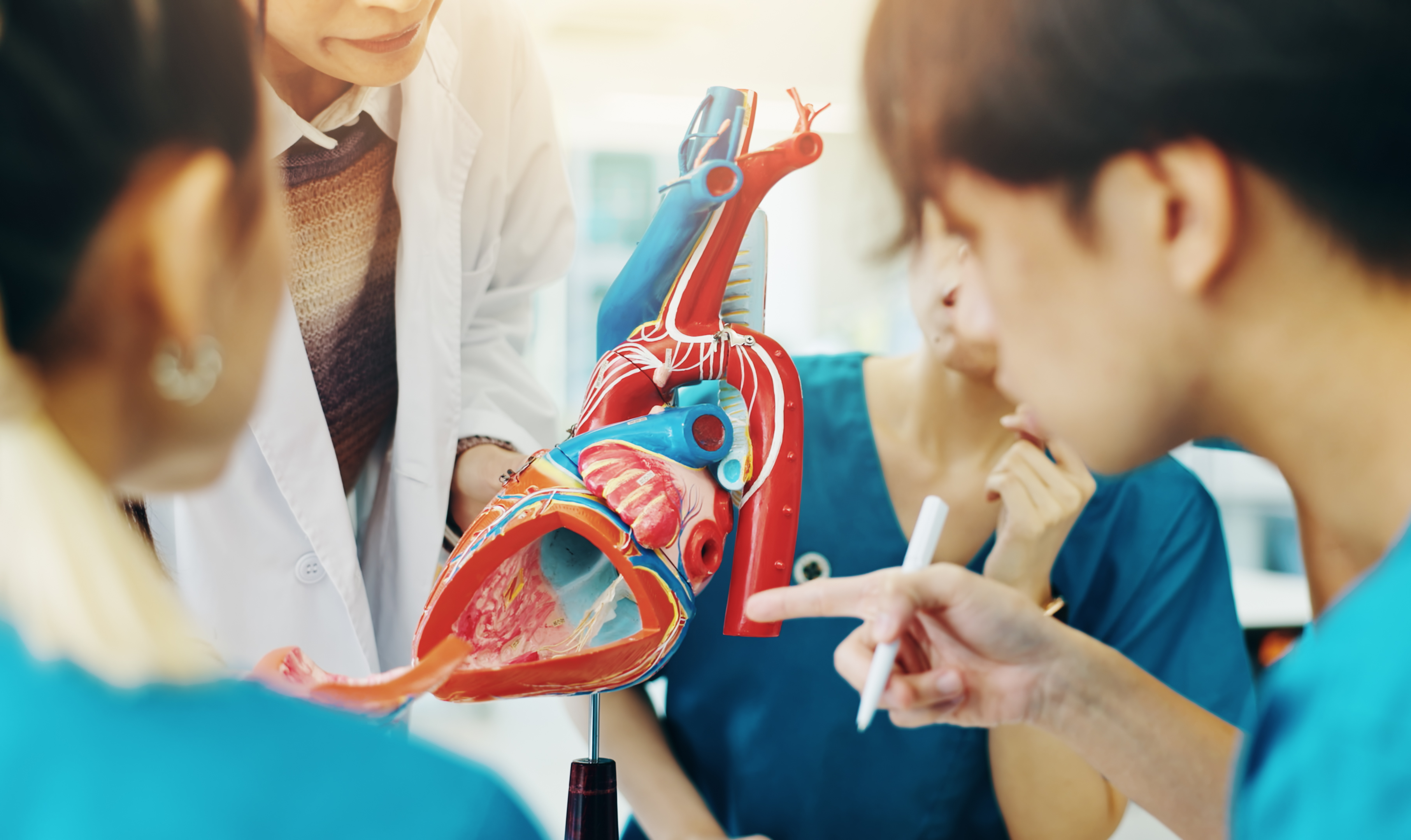 FDA Clears UCLA Heart Tissue Regeneration Drug for Clinical Trials ...