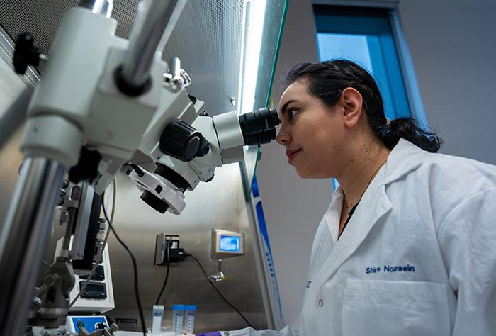 A Molecular ‘Reset Button’ for Reading the Brain Through a Blood Test ...